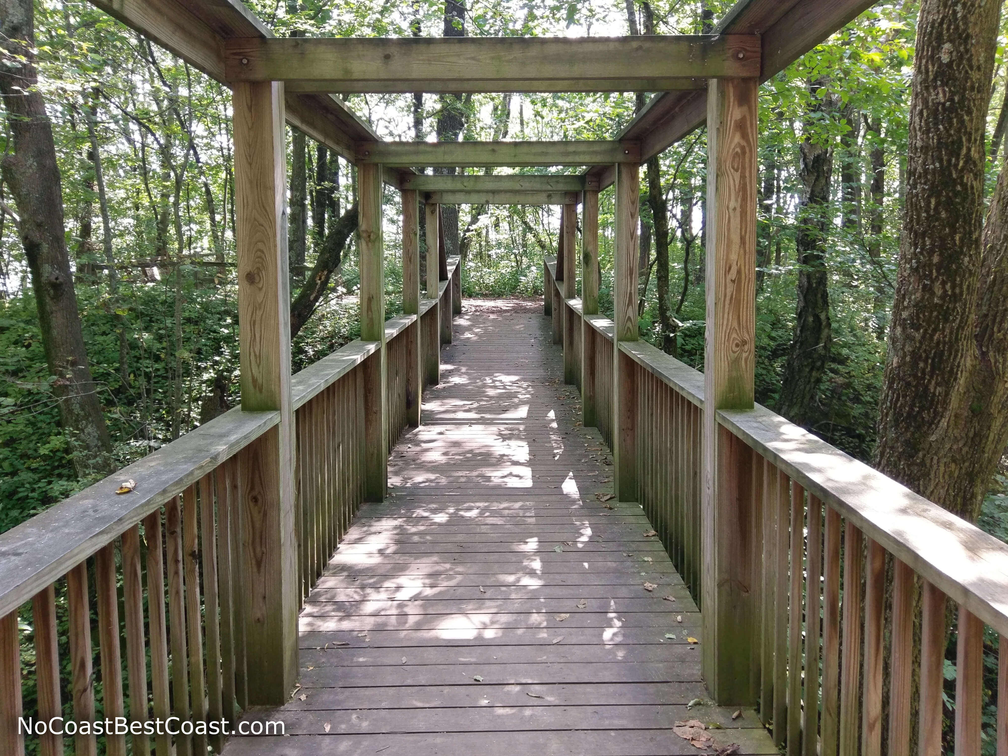 Hike Lion s Den Trail Loop At Lion s Den Gorge Nature Preserve